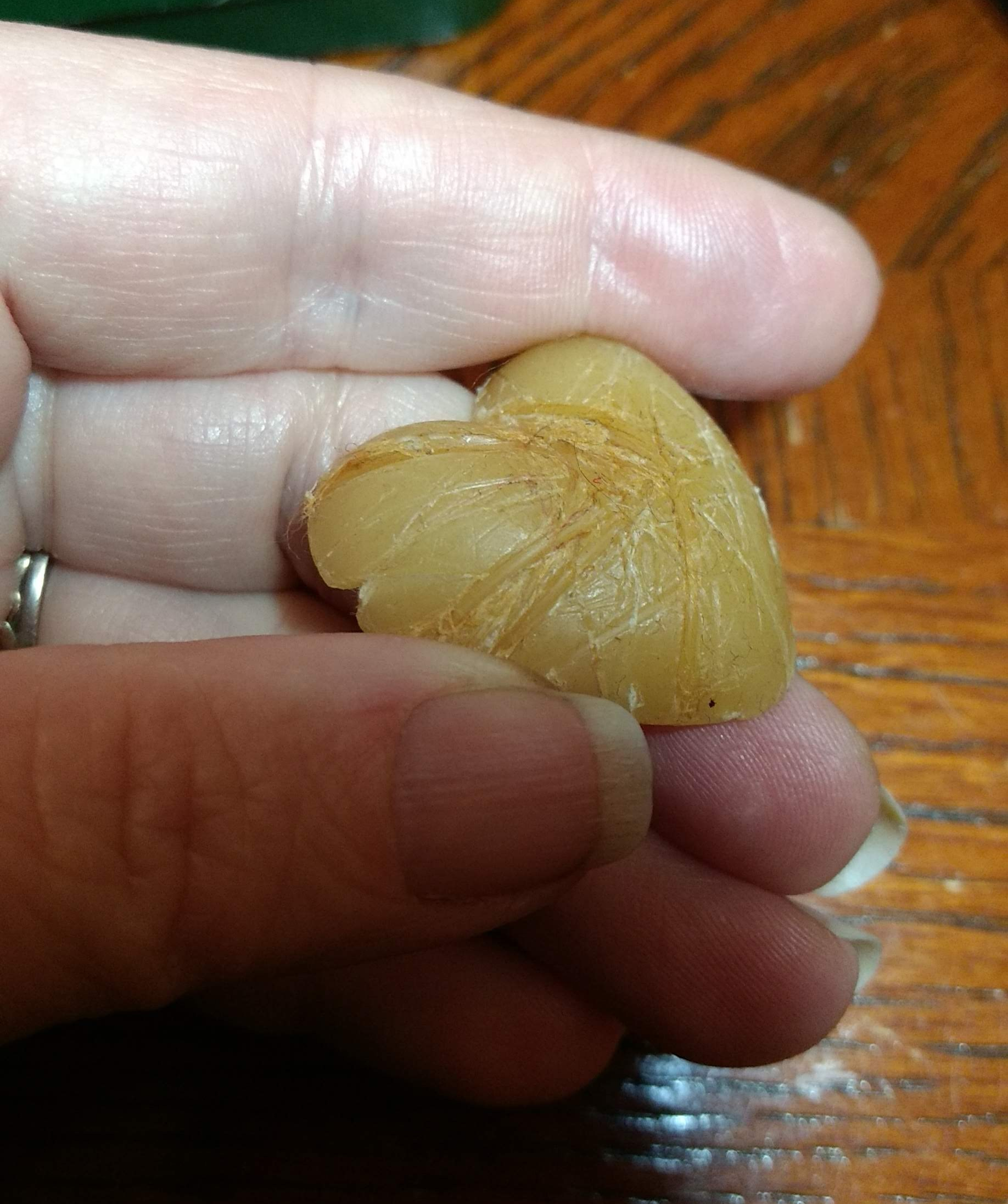 Derpy deer | Adventures in Arts & Sciences