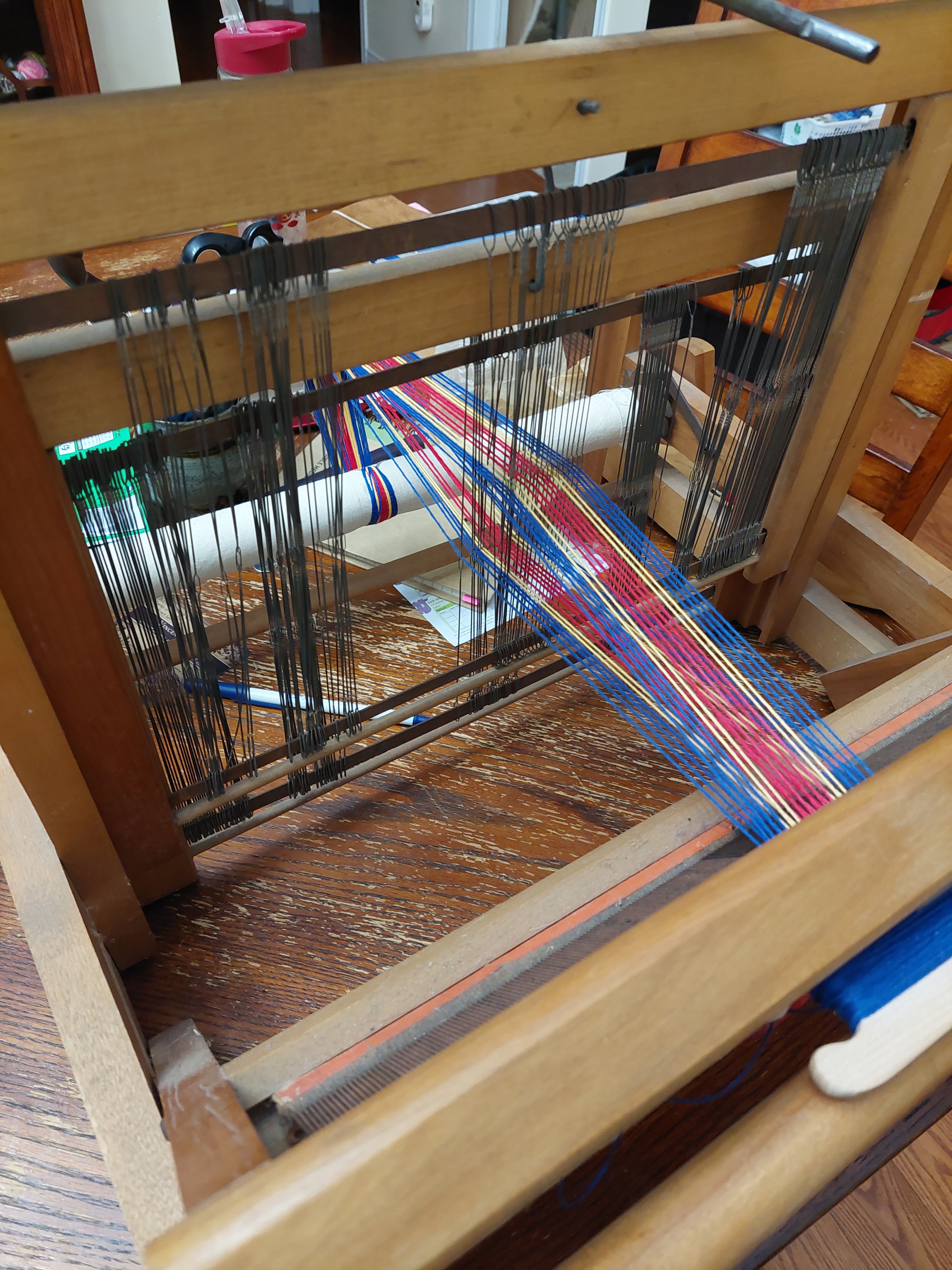 Welcome home, Nilec! | Adventures in Arts & Sciences